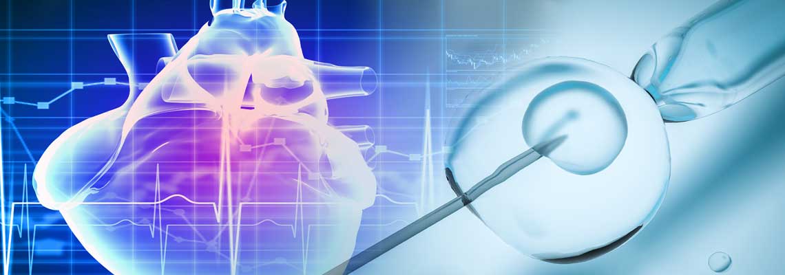 In Vitro Fertilization and Cardiovascular Disease: Studies Indicate an ...