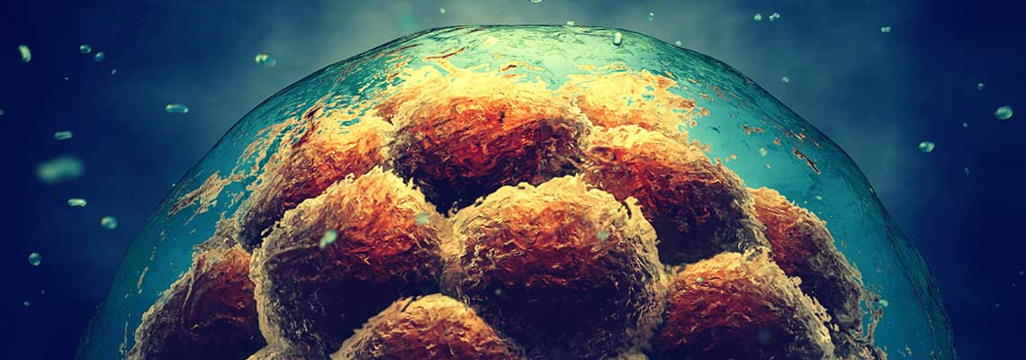 Choosing Between a Day Three and Day Five Embryo Biopsy