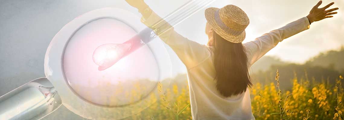 Mild IVF Can Be a Better Alternative to Conventional IVF ...